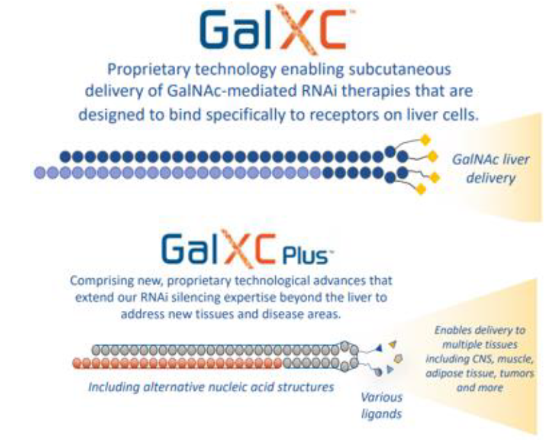中金：RNAi疗法终见曙光，成药潜力加速兑现 | 选股宝 - 发现好股票